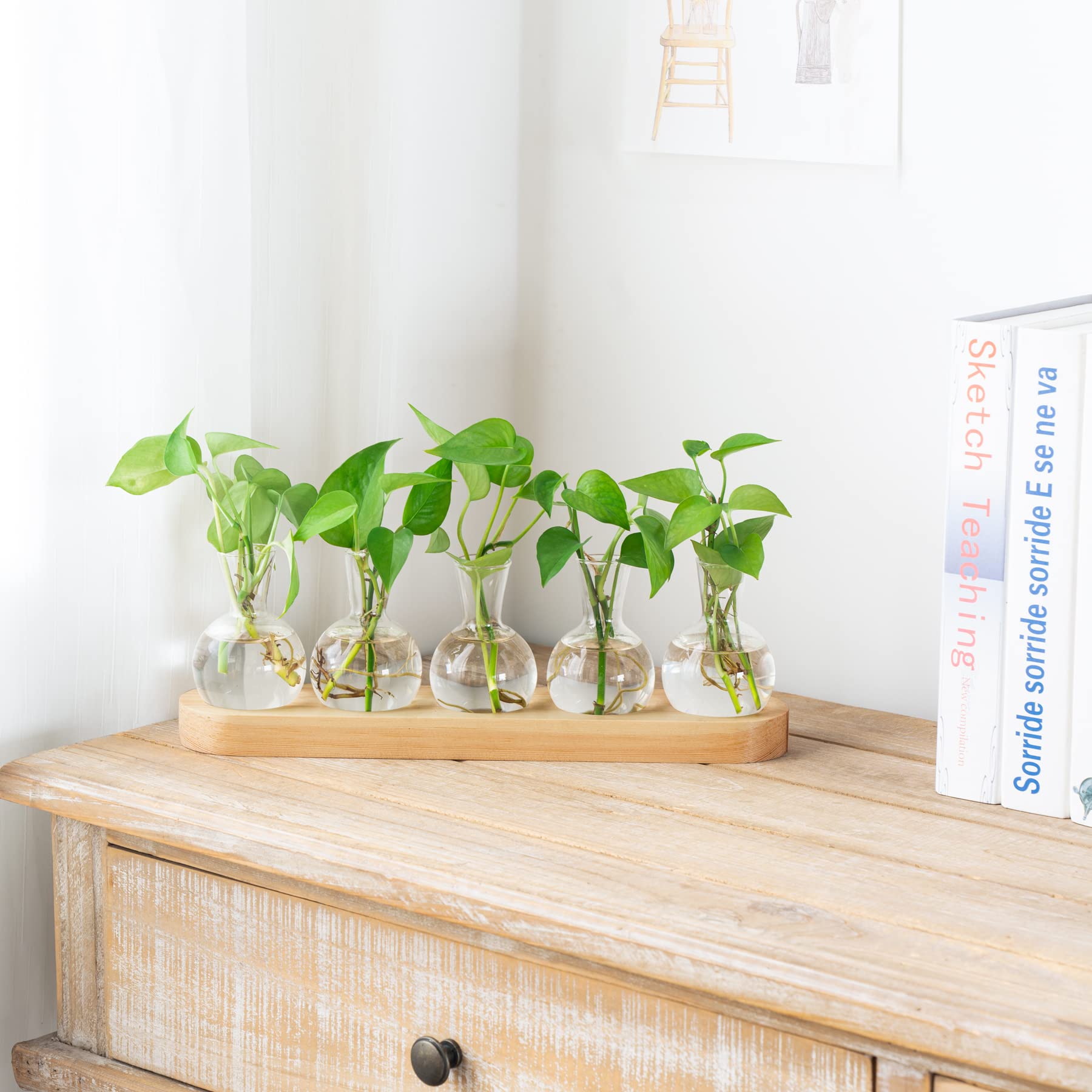 Snapklik.com : Mkono Desktop Plant Propagation Glass Vase Station Retro ...