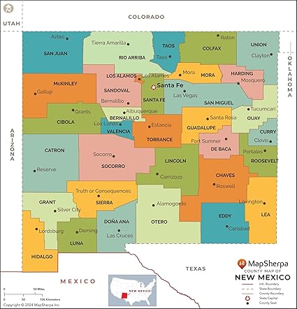 Amazon.com : New Mexico Counties Map - Standard - 37.5 x 36 inches ...