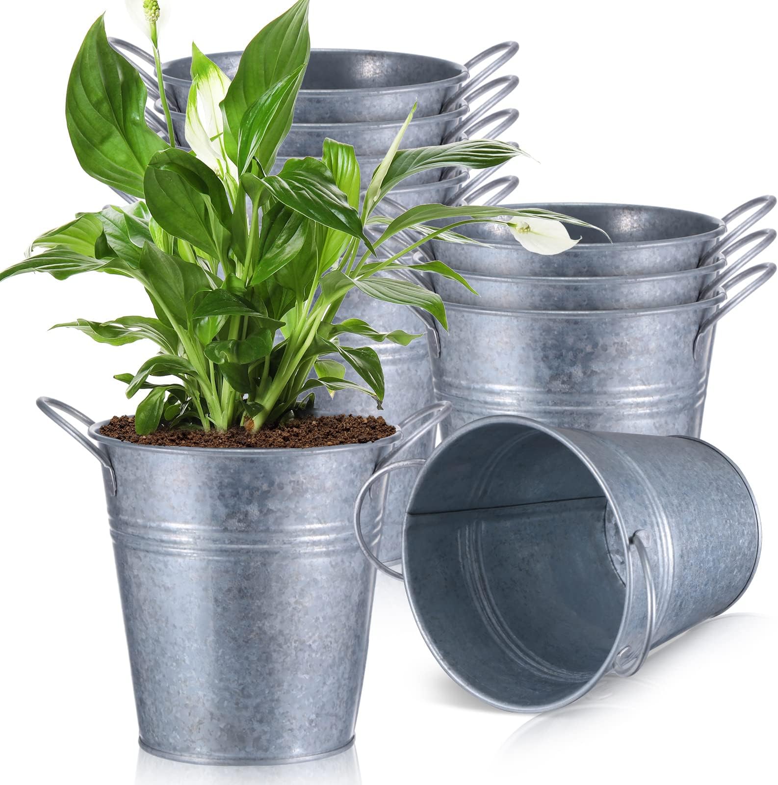 Amazon.com : ZHUJERRY Galvanized Metal Flower Pot Planters, Anti-Rust ...