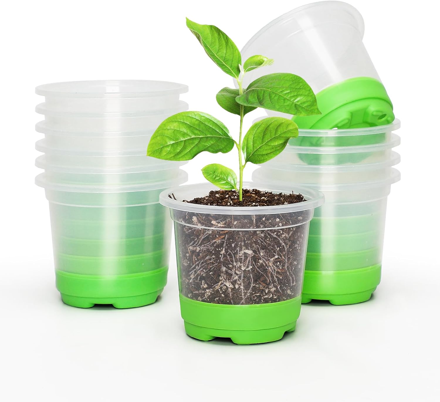 MIXC 12 Packs Plant Nursery Pots, 4" Plastic Gardening Pot Planting ...
