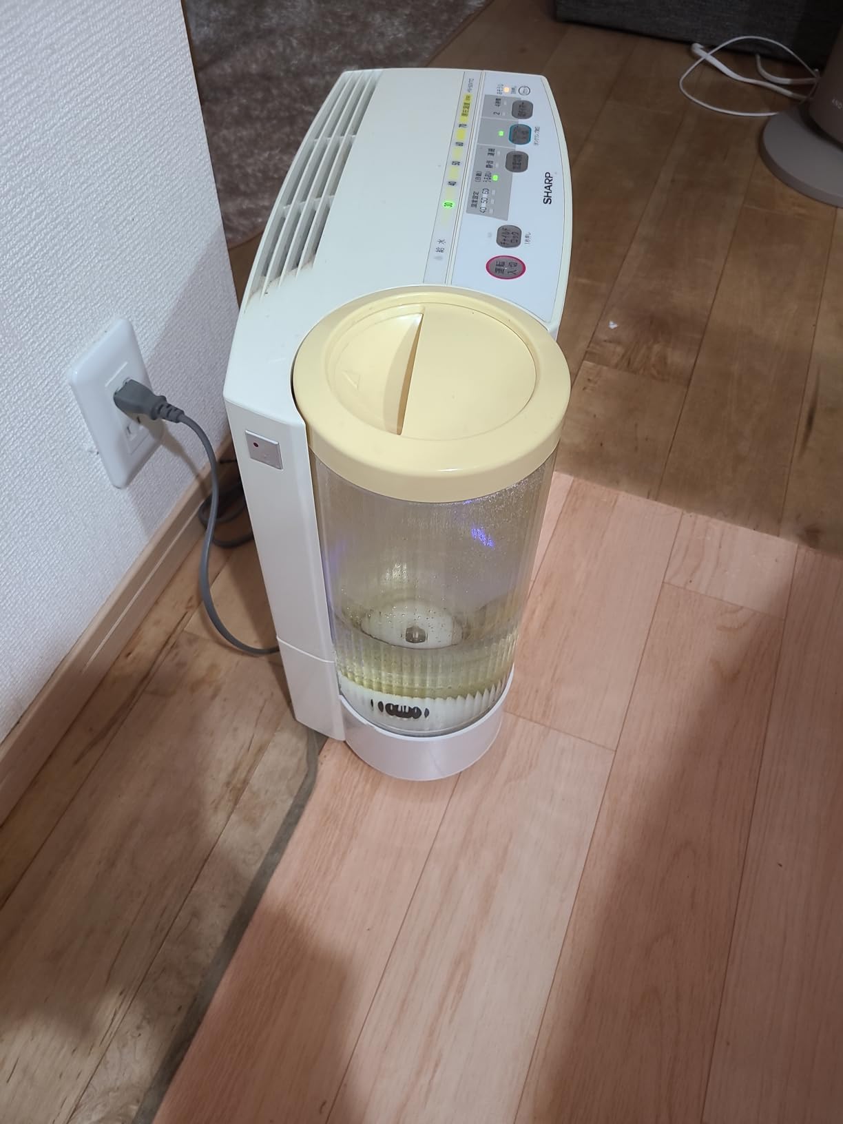 Amazon | BREADEN/ブリーデン エギスナップ/となりのアイツ | ブリーデン(BREADEN) | アクセサリ