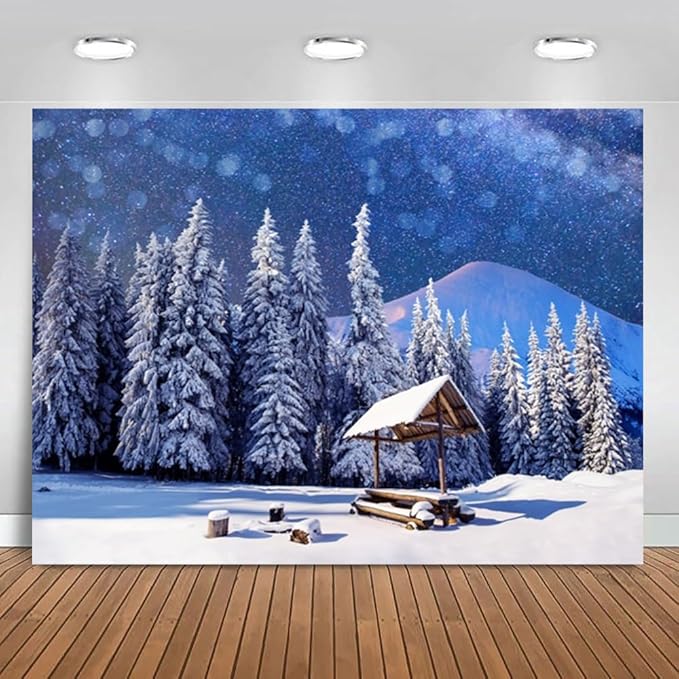 Amazon.com : 10x8ft Winter Wonderland Backdrop Winter White Snow Forest ...