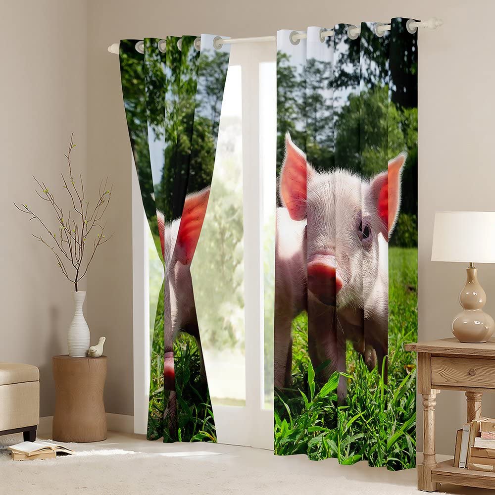 Pig Curtains