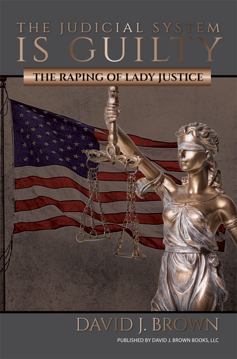 Amazon.com: The Judicial System is Guity: The Raping of Lady Justice ...
