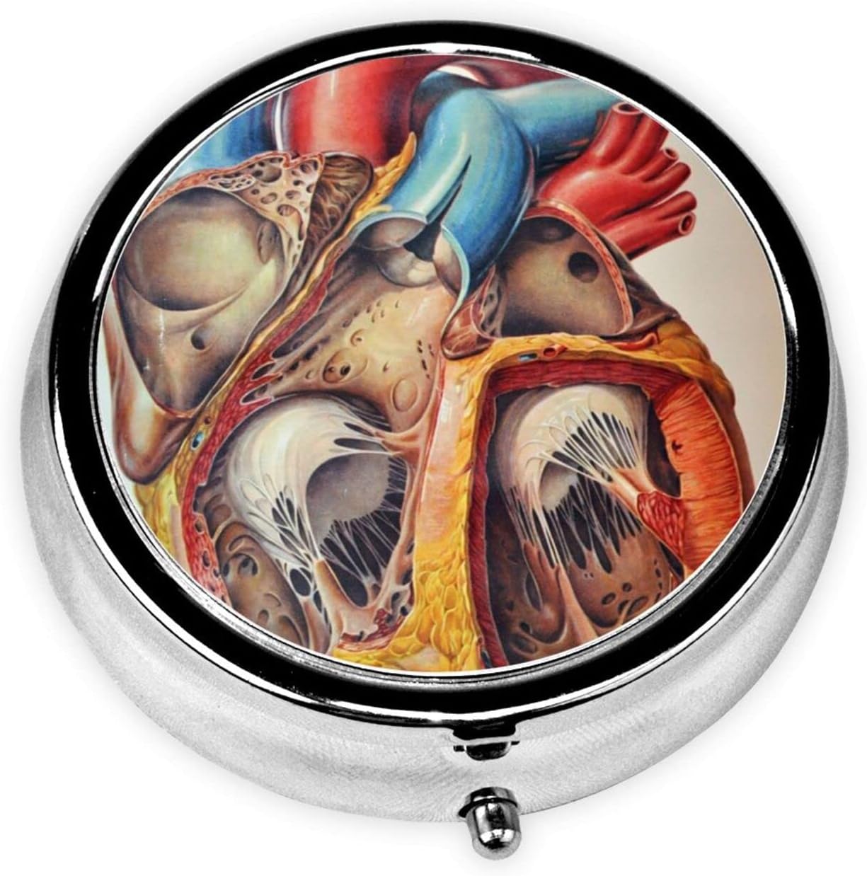 Human Anatomy Heart Chart Pill Box, Round Pill Box, Metal Three ...