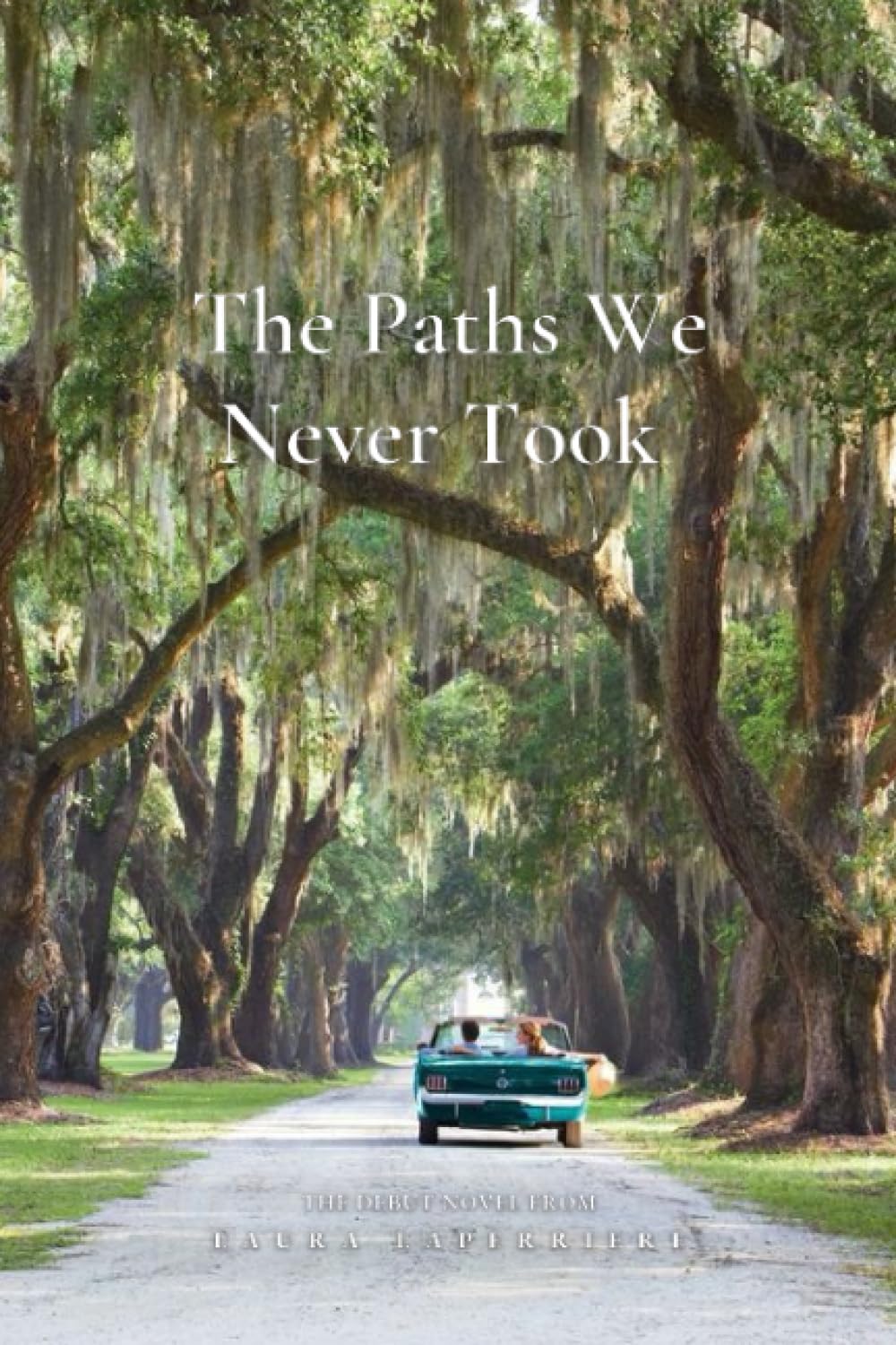 The Paths We Never Took: Laperriere, Laura: 9781738946204: Amazon.com ...