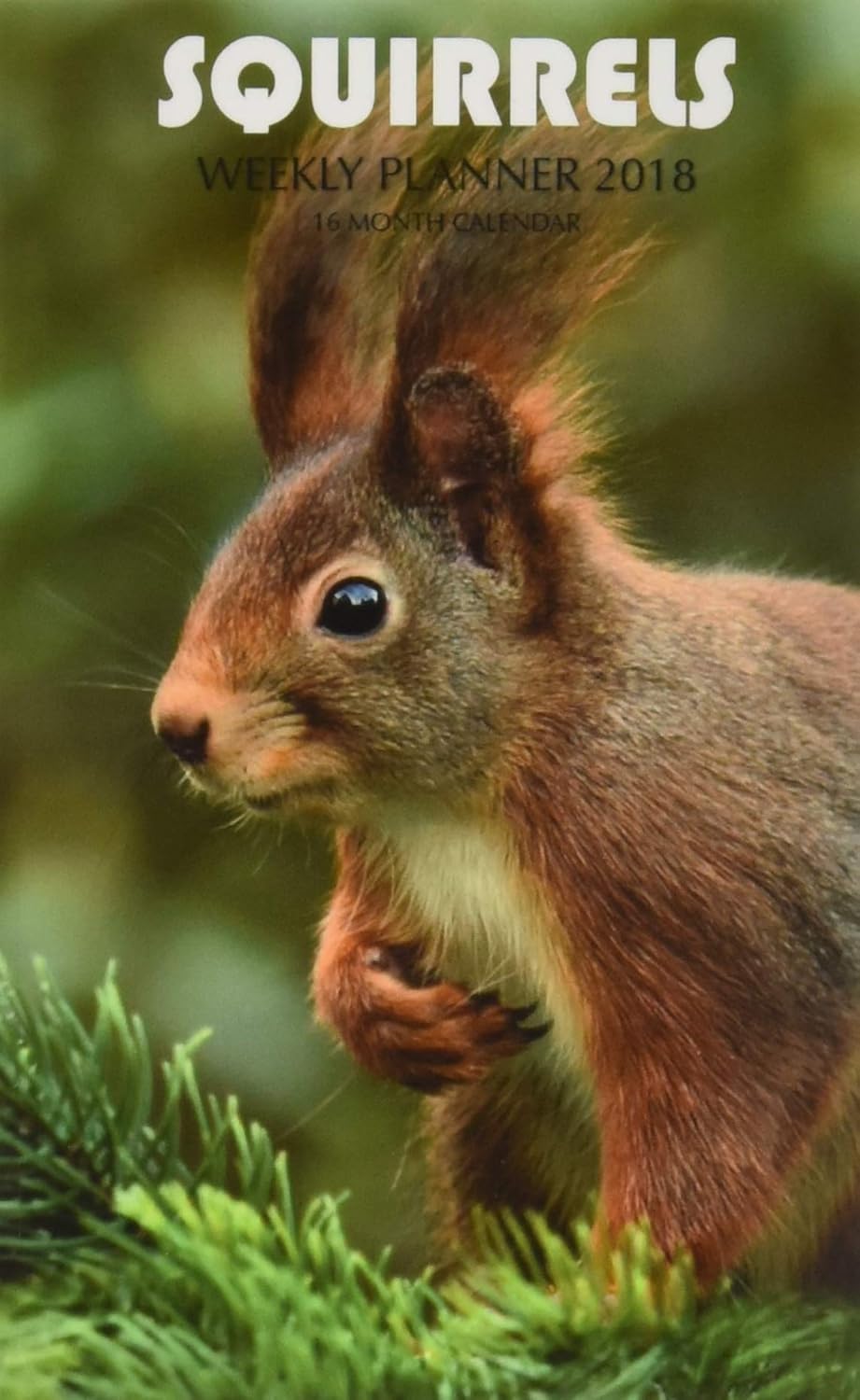 Squirrels Weekly Planner 2018: 16 Month Calendar: Jenson, Paul ...