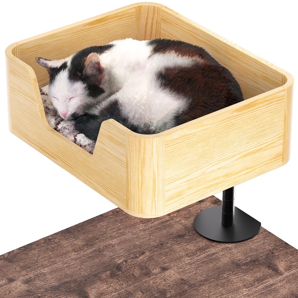 Amazon.com : PawsWhirl Cat Desk Bed - Ergonomic Desk Mounted Wooden Cat ...