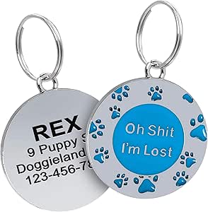 Amazon.com: Custom Funny pet tag ID, Personalized Stainless Steel Oh ...