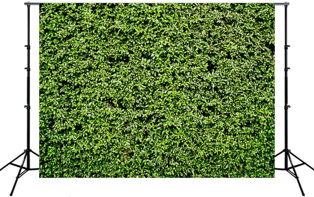 Amazon.com: 7x5FT Green Ivy Garland Backdrop Happy Birthday Party ...
