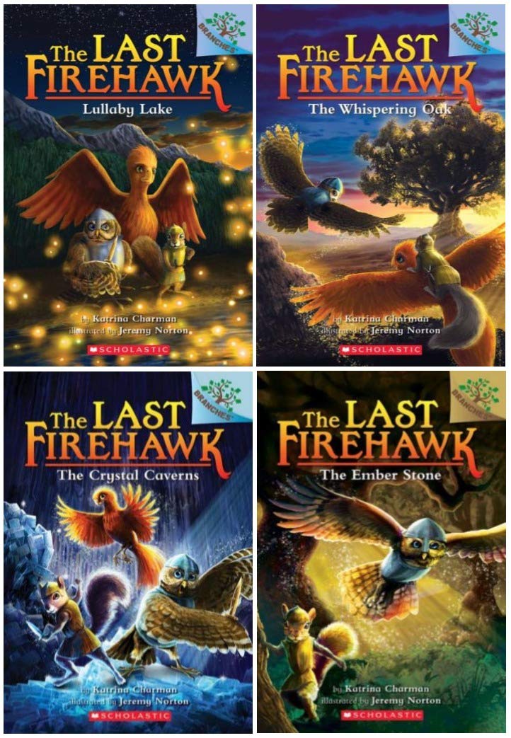 Last Firehawk Series Set ( Books 1- 4): Amazon.com: Books