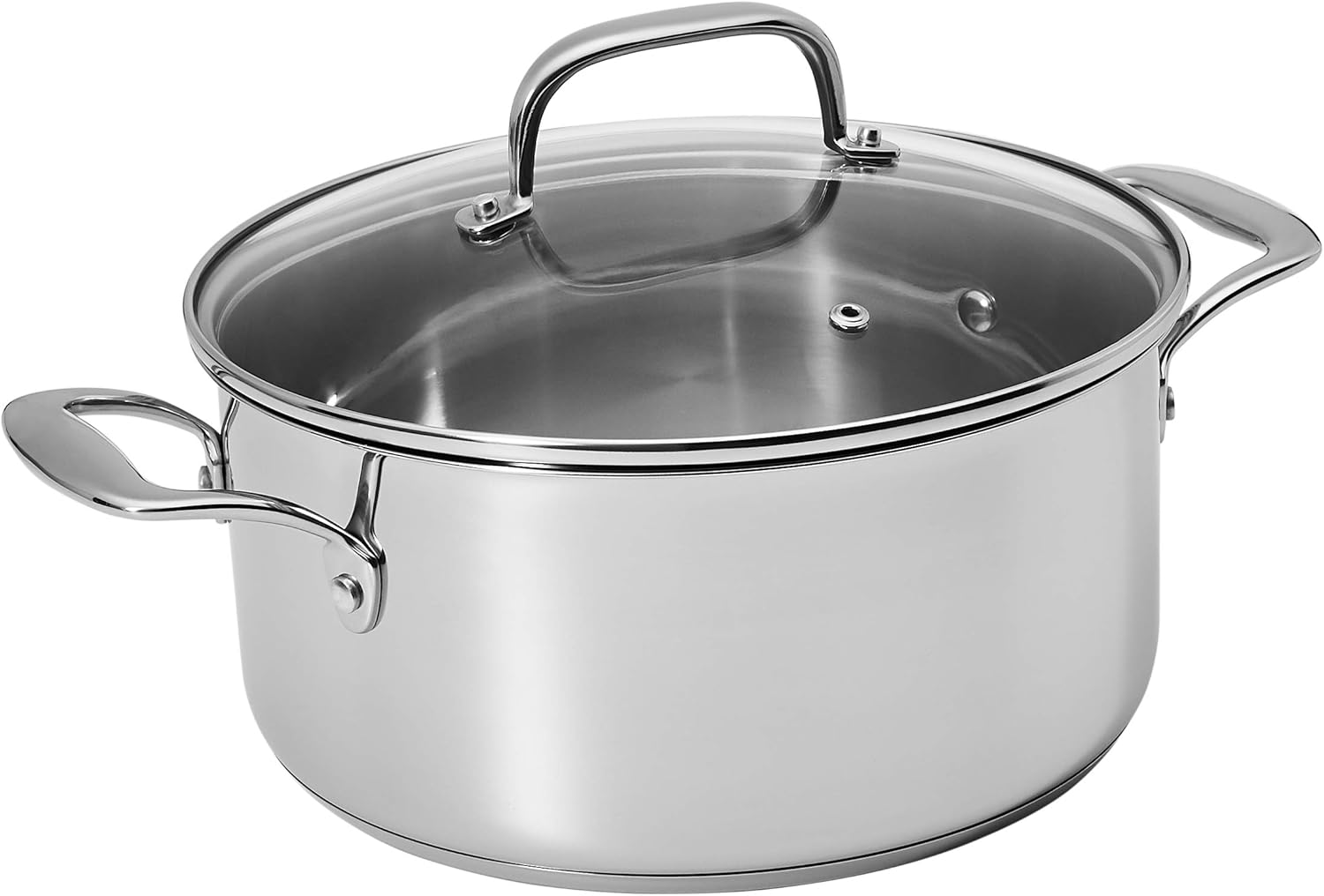 Amazon.com: Amazon Basics Round Shape Stainless Steel Dutch Oven with ...