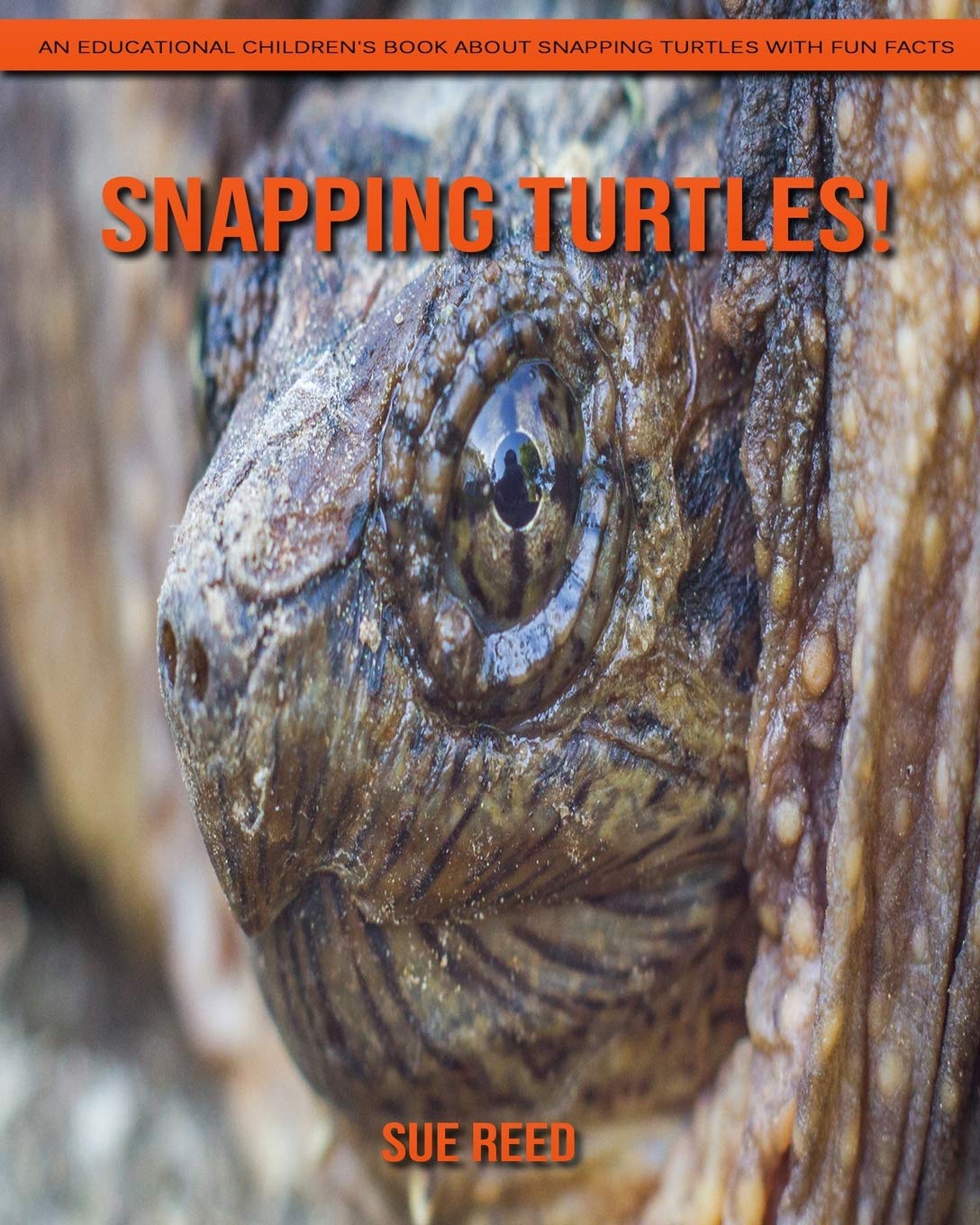 Buy Snapping Turtles! An Educational Children's Book about Snapping ...