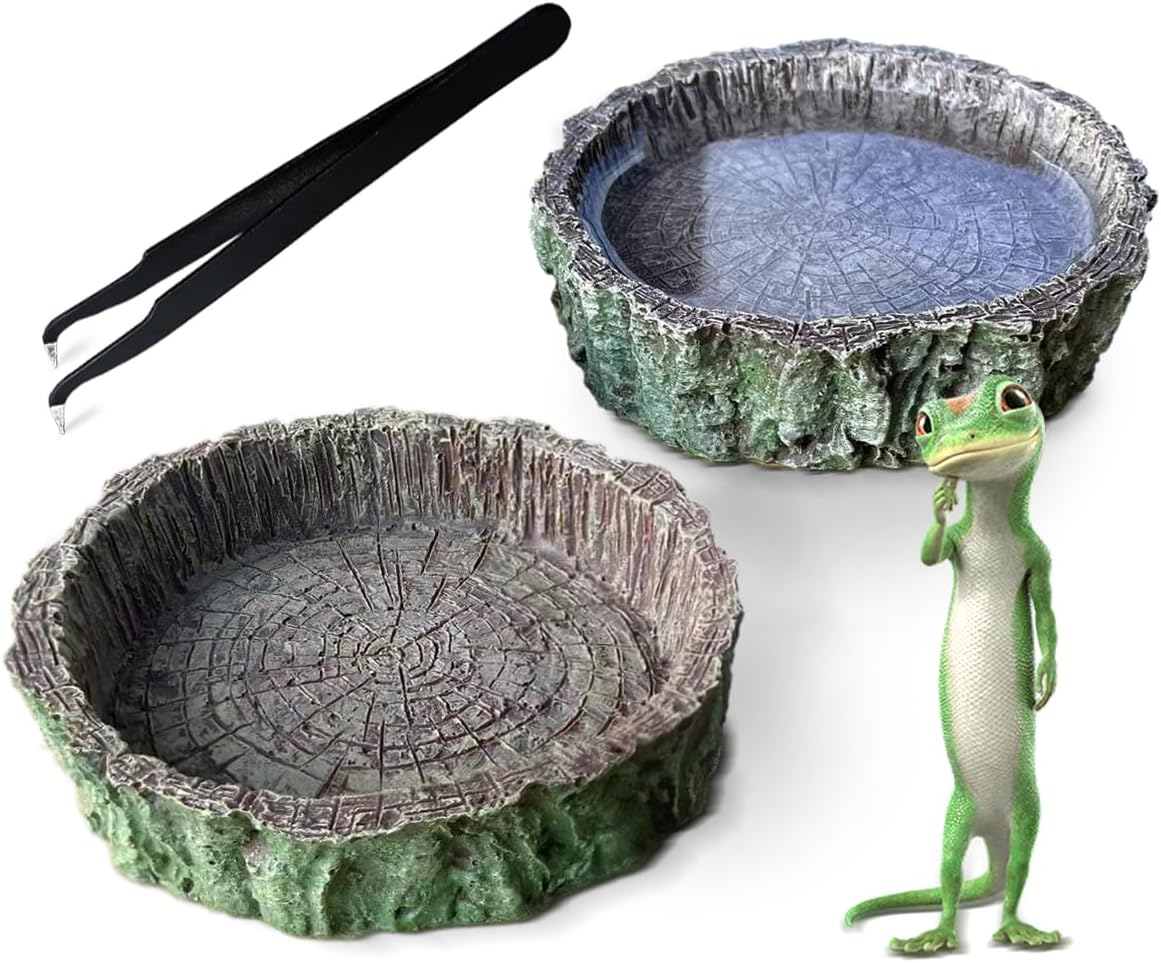 Amazon.com : 2 Reptile Feeding Dish Water Dish Food Bowls,Breadworm ...