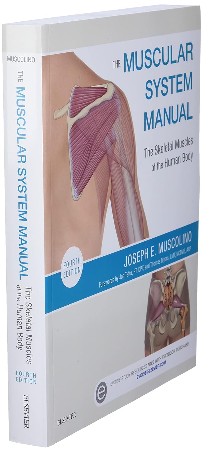 Buy The Muscular System Manual 4th Edition at Ubuy Philippines