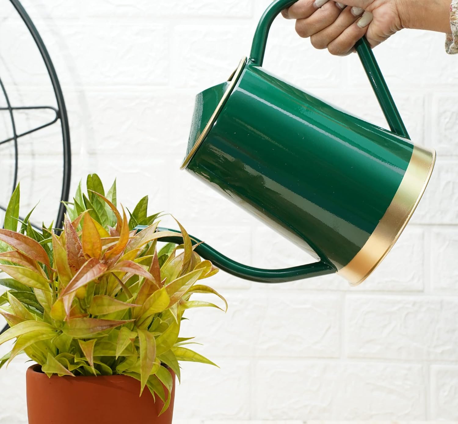 Gold Dust Garden Watering Can, Watering Can for Plants, Plant Watering ...