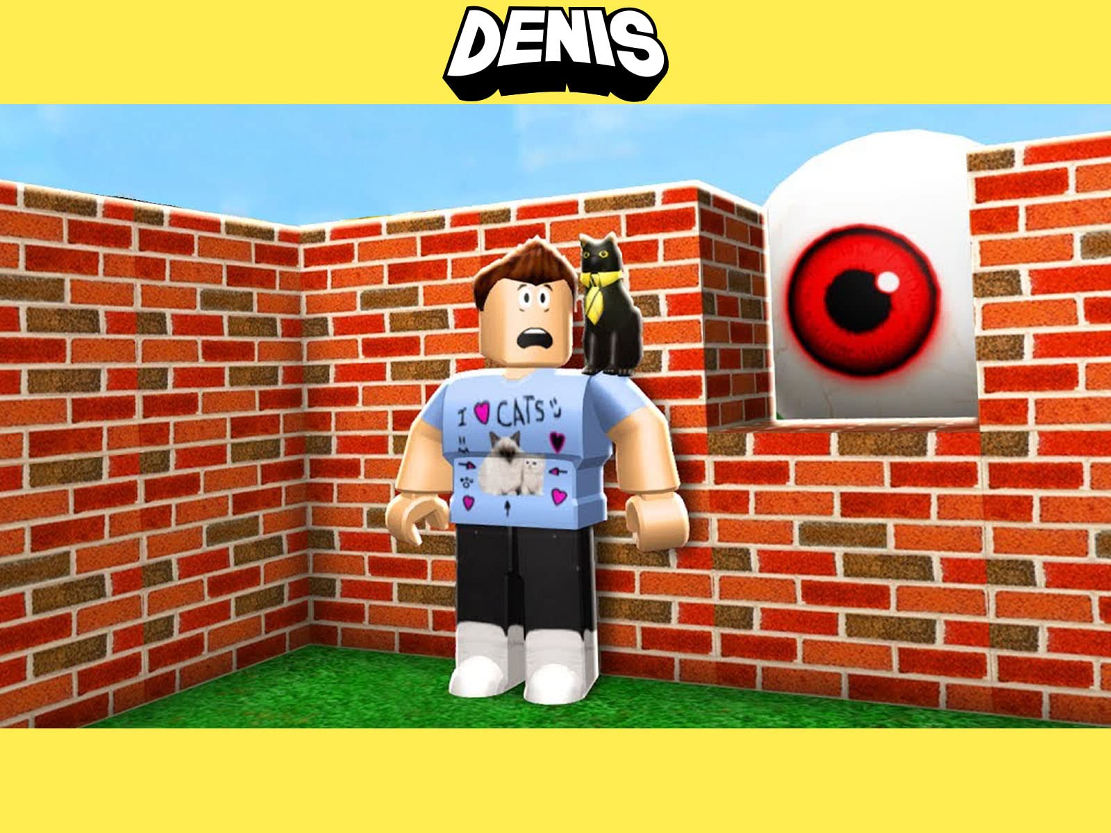 Watch Denis | Prime Video