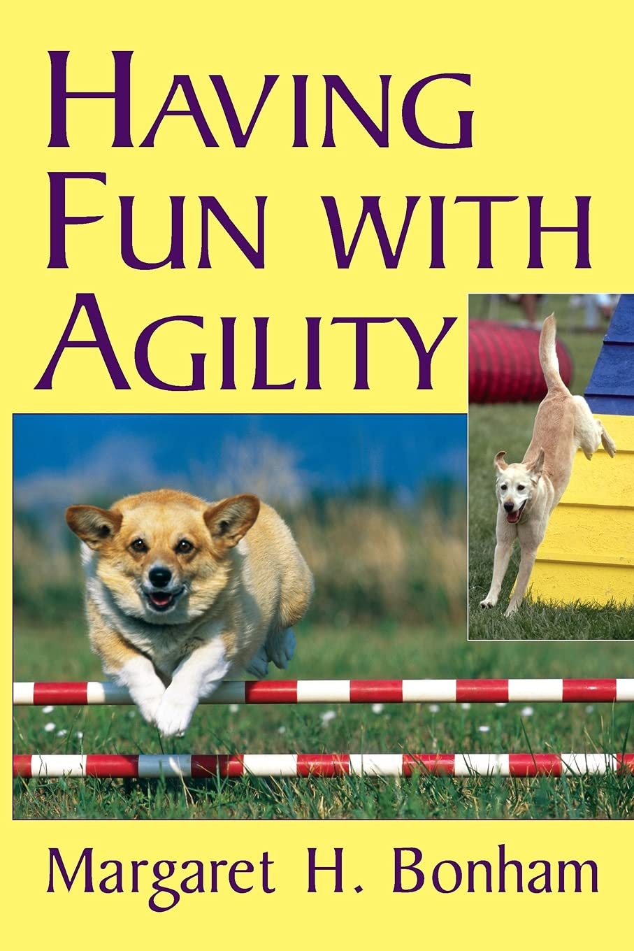 Agility Memes The Rubicon Agency Meme Of The Week Proposition