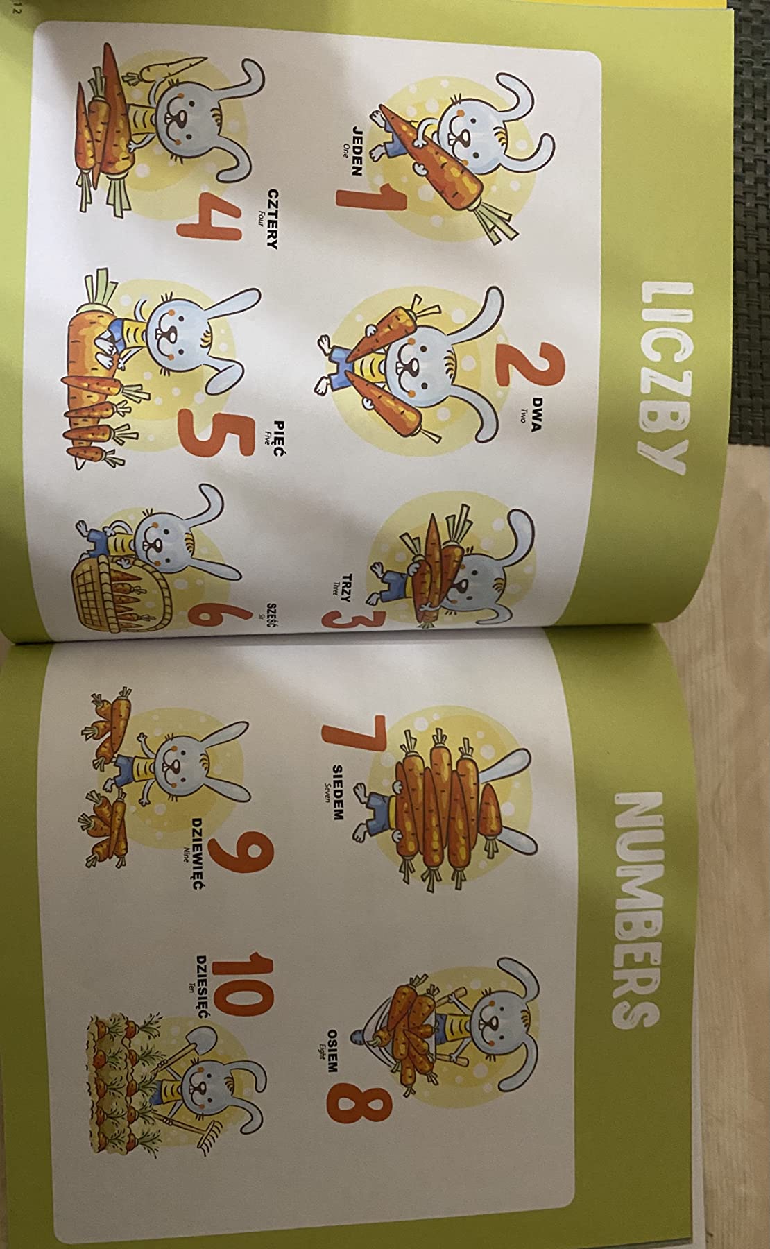 Amazon.com: My First Polish Book. Polish-English Book for Bilingual ...