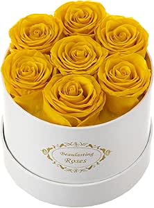 Amazon.com: Beaulasting Roses Preserved Roses in a Box Long-Lasting ...