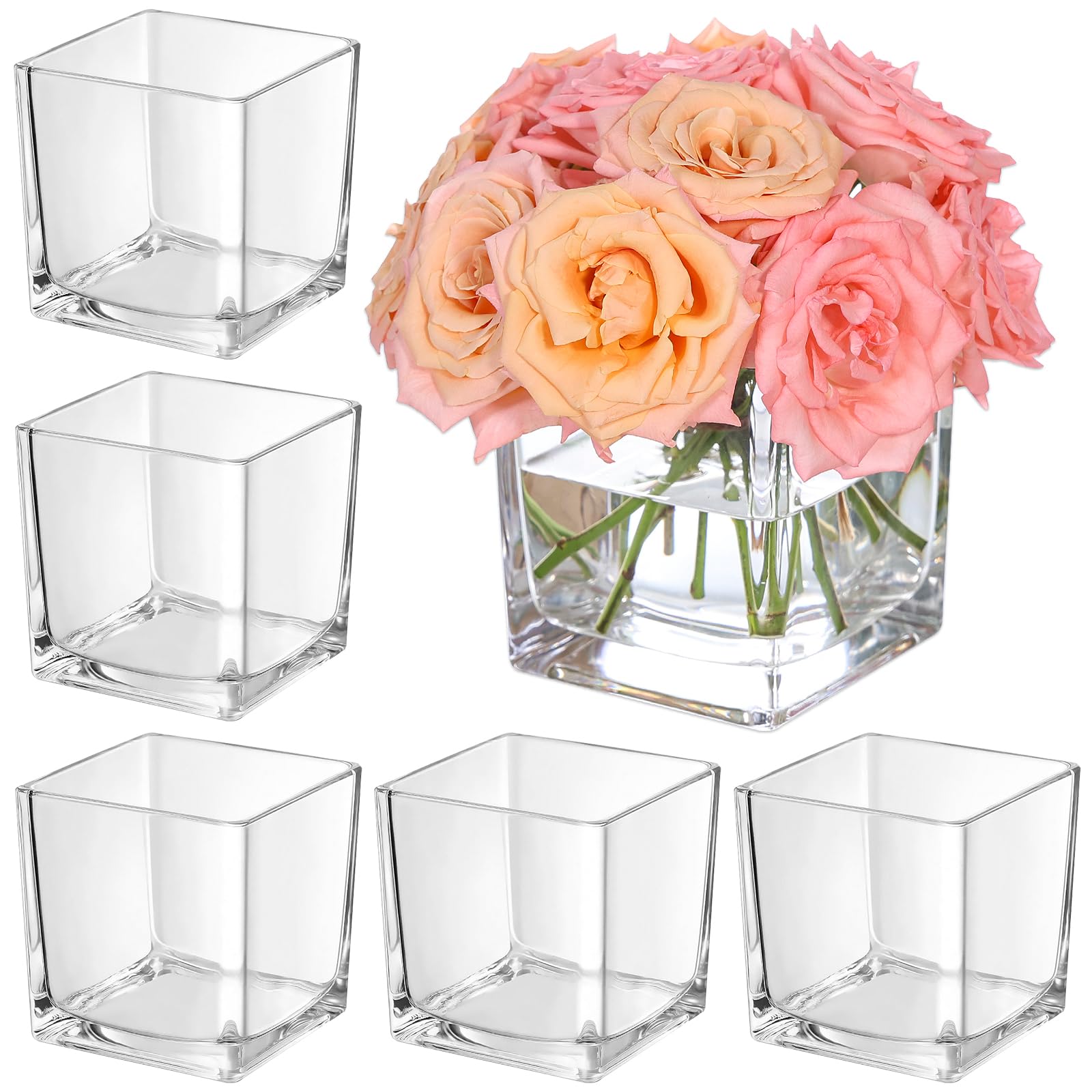 Amazon.com: KEYWING 6 Pack Square Glass Vase 5" x 5" x 5", Clear Flower ...
