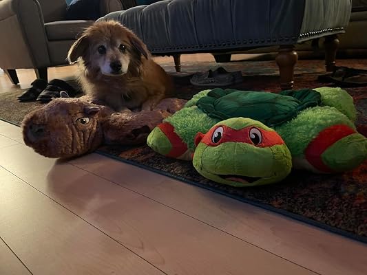 Pillow Pets Raphael TMNT, Nickelodeon Teenage Mutant Global | Ubuy