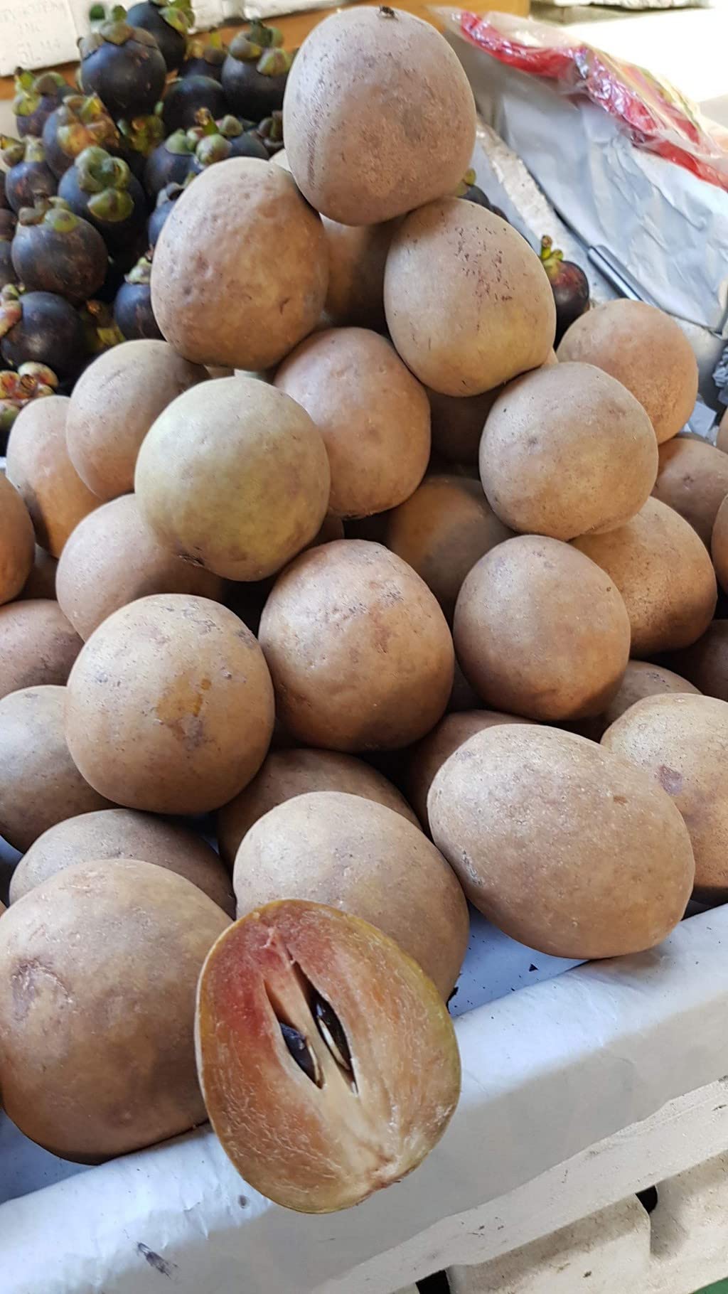 Buy OhhSome Grafted Chikoo, Sapota, Chiku Fruit (Grafted) - Plant ...