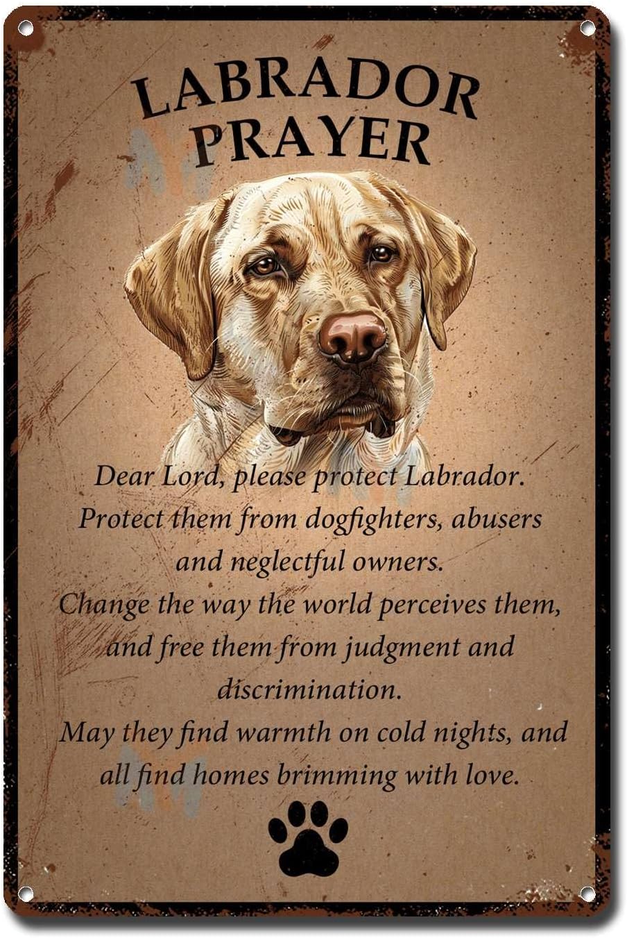 Amazon.com: Ymyoo Metal Sign Tin Sign Vintage Wall Art Labrador ...