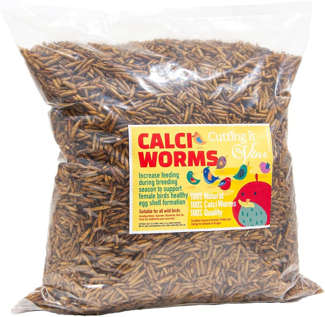 MALTBY'S STORES 4KG WILD BIRD DRIED MEALWORMS WILD BIRD FOOD : Amazon ...