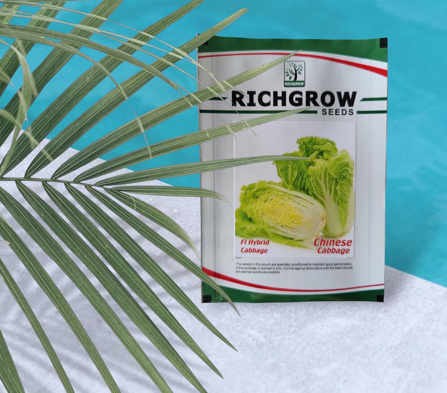 Richgrow Hybrid Chinese Cabbage Seeds (pack of 3) : Amazon.in: Garden ...