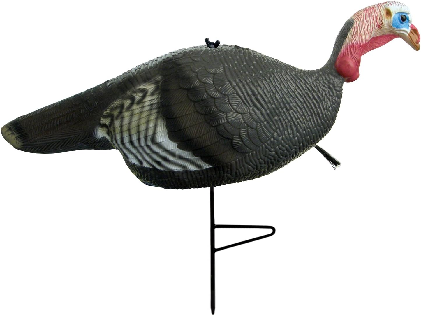 Amazon.com : Primos Upright Jake Decoy : Hunting Decoys : Sports & Outdoors