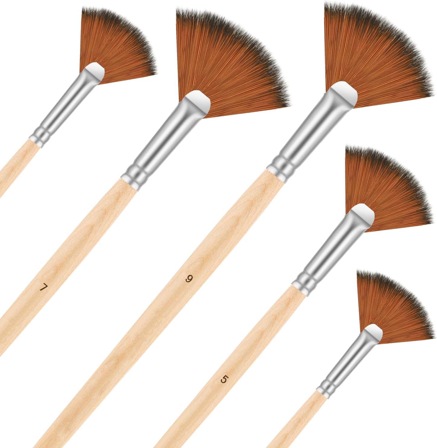 Amazon.com: 5 Pcs Fan Paint Brushes, Oil Acrylic Paint Brushes, Fan ...
