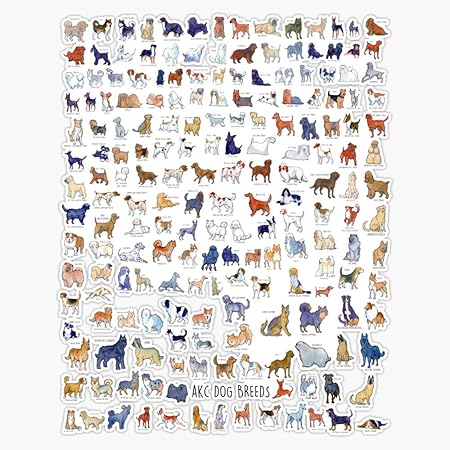 Amazon.com: Dog Breeds #1 Vinyl Waterproof Sticker Decal Car Laptop ...