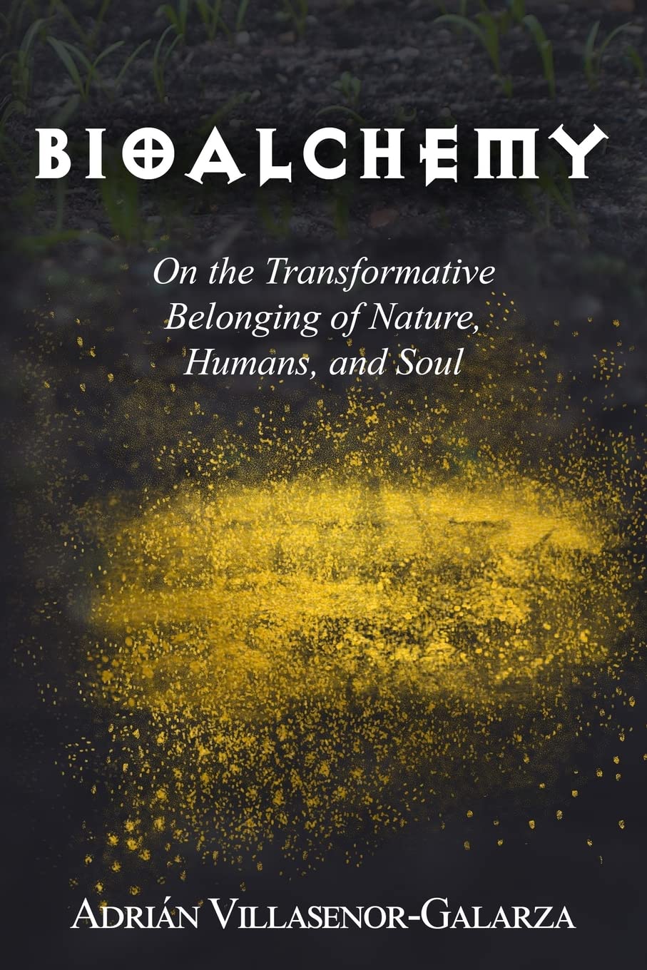 Bioalchemy: On the Transformative Belonging of Nature, Humans, and Soul ...