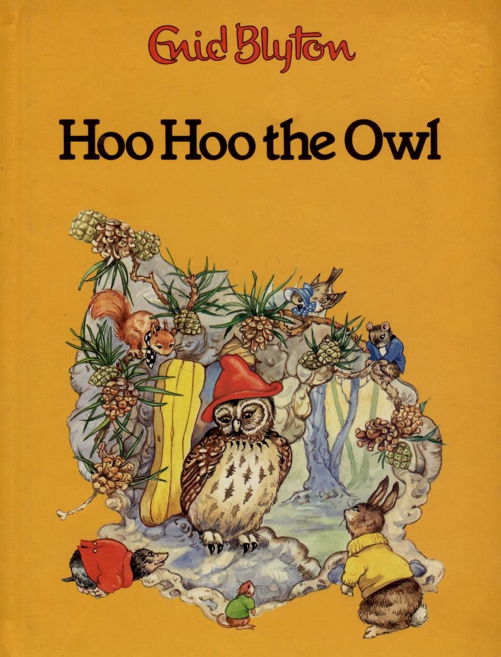 Hoo Hoo The Owl: Enid Blyton, Rene Cloke: 9780517492772: Amazon.com: Books