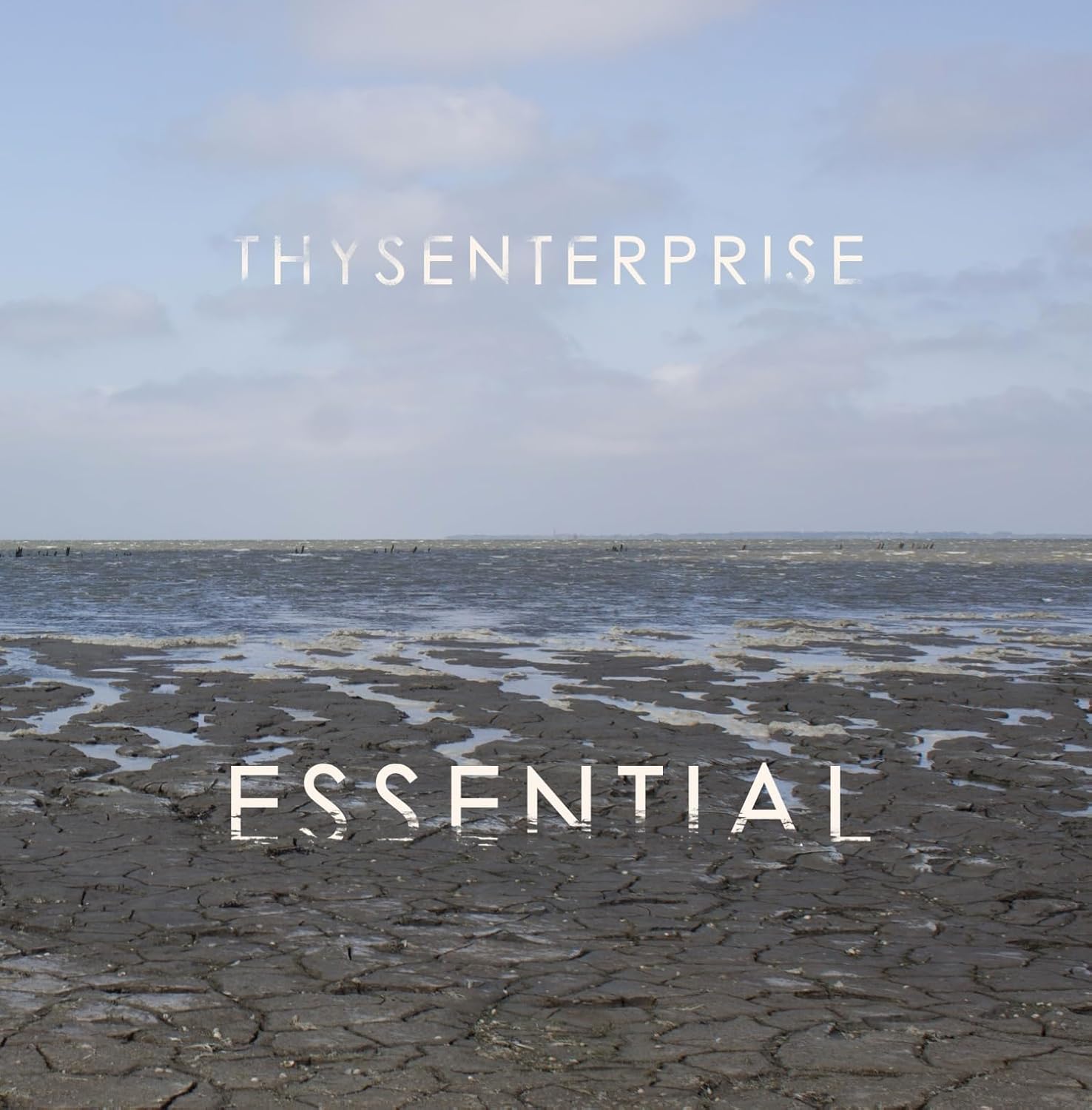 Amazon.com: Essential: CDs & Vinyl
