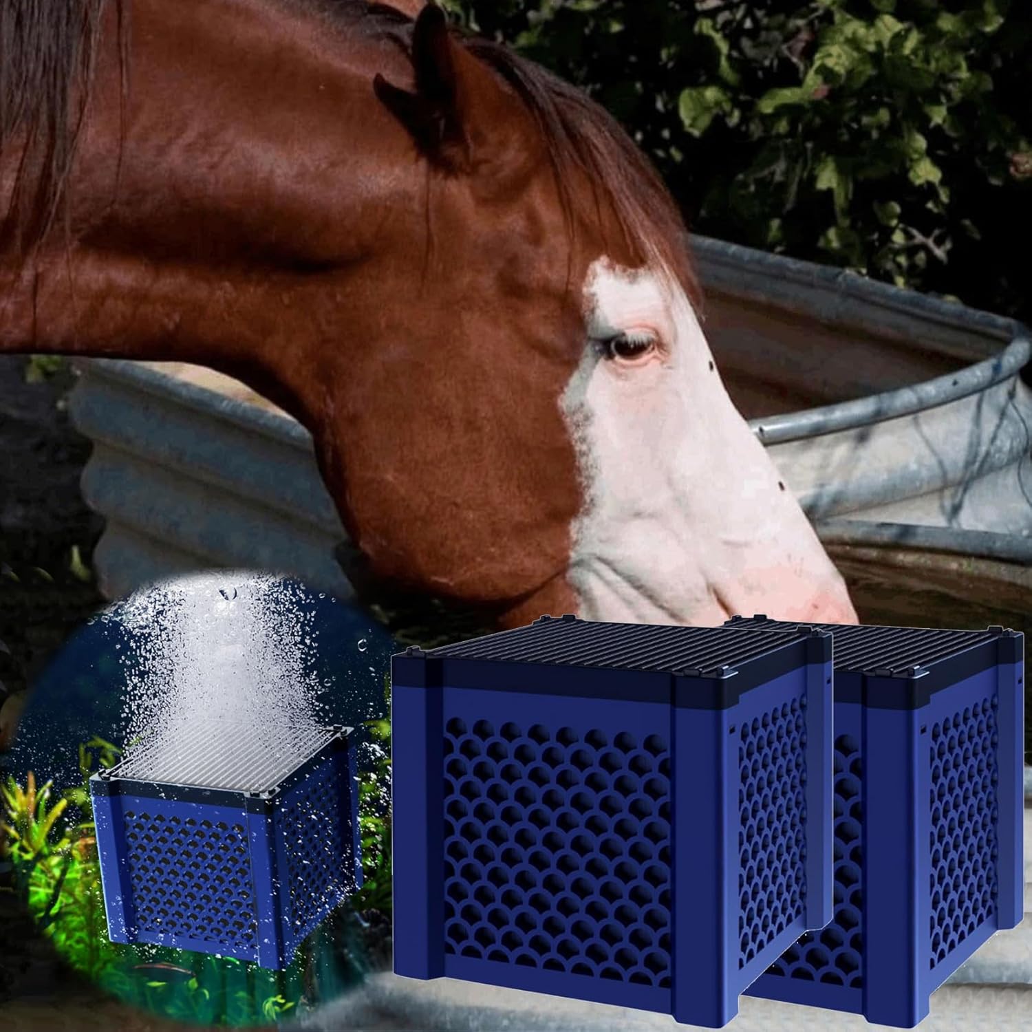 Amazon.com : Eco-Aquarium Water Trough Purifier Cube, Horse Water ...