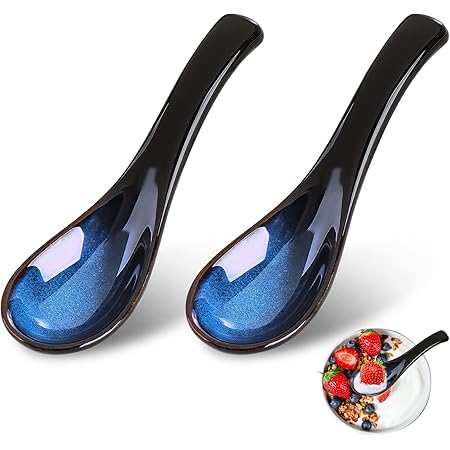2 Set Chinese Soup Spoons Asian Soup Spoon Set Blue Ceramic Ramen Retro ...