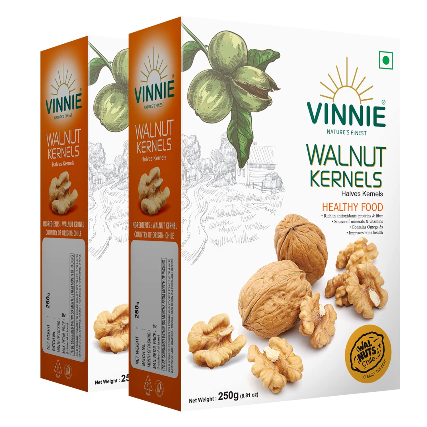 Vinnie Walnut Without Shell - 500g (Pack Of 2) | Premium Chilean Akhrot ...