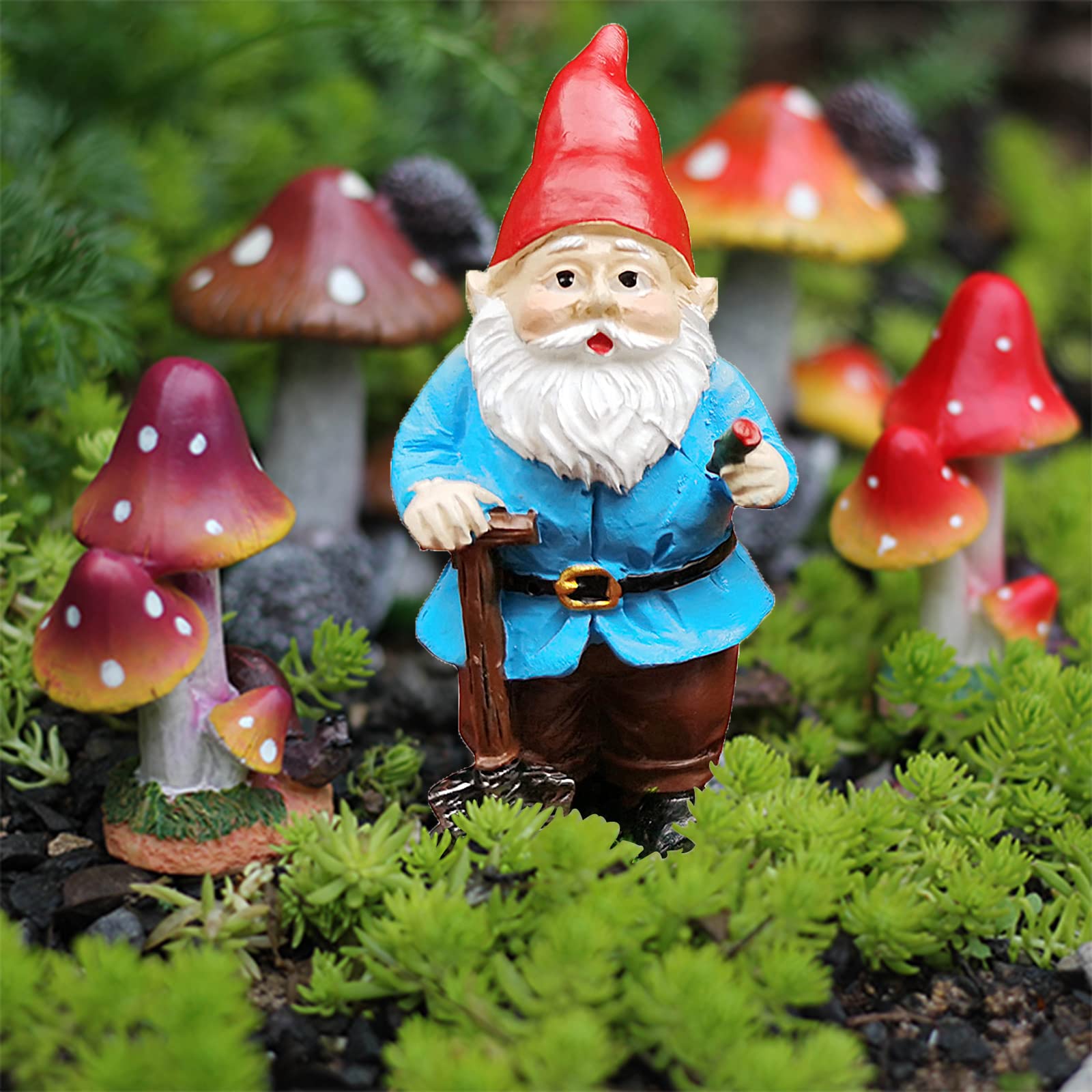 Miniature Garden Gnome Families The UK's First Garden Gnomes Or