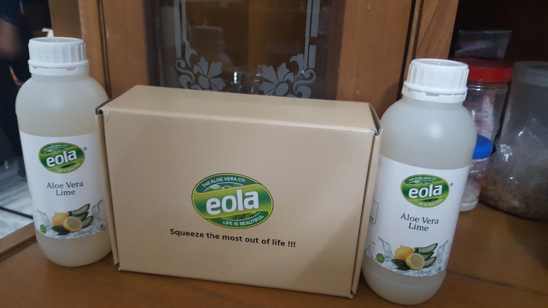 Eola Aloe Vera Lime Juice, 600ml (Pack of 2 ) : Amazon.in: Grocery ...