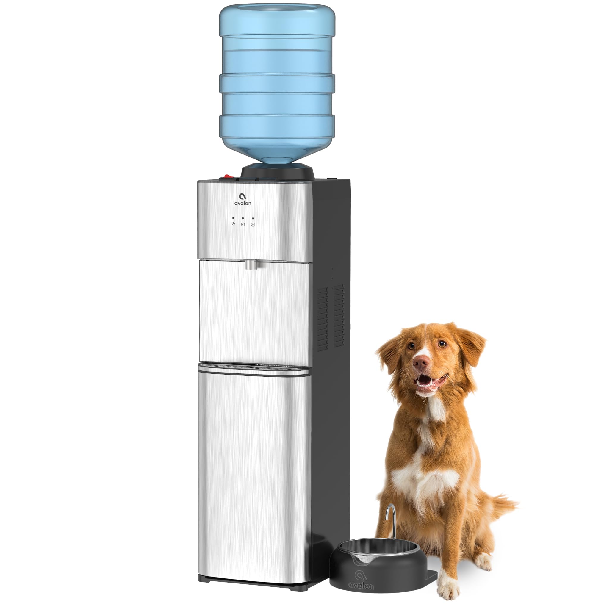 Amazon.com: Avalon Top Loading Water Cooler Dispenser with Pet Bowl ...