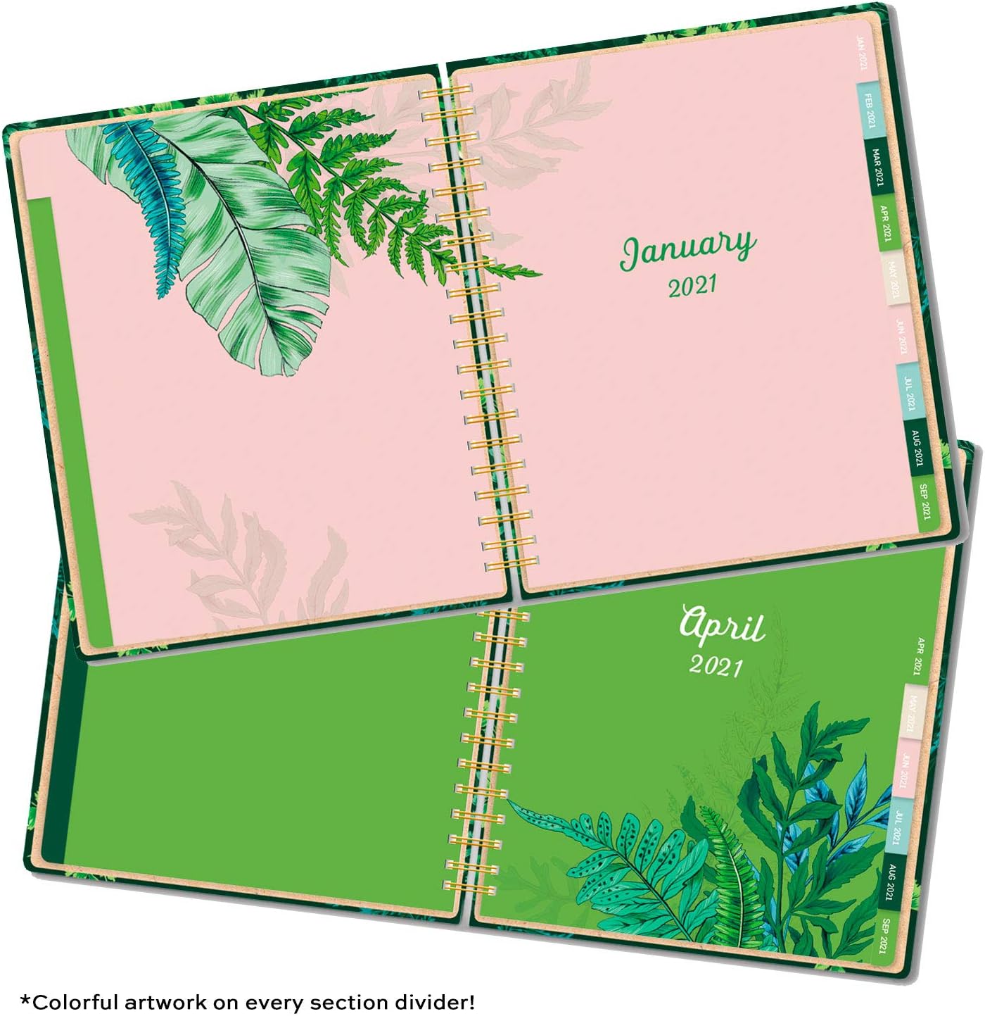 Geometric Tropical Triangles 2021 Planner – BigaMart
