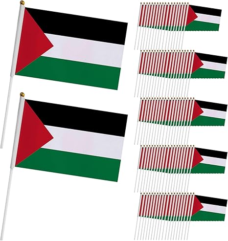 Amazon.com: 100PCS Hand Held Small Mini Flag Palestine Flag Palestinian ...