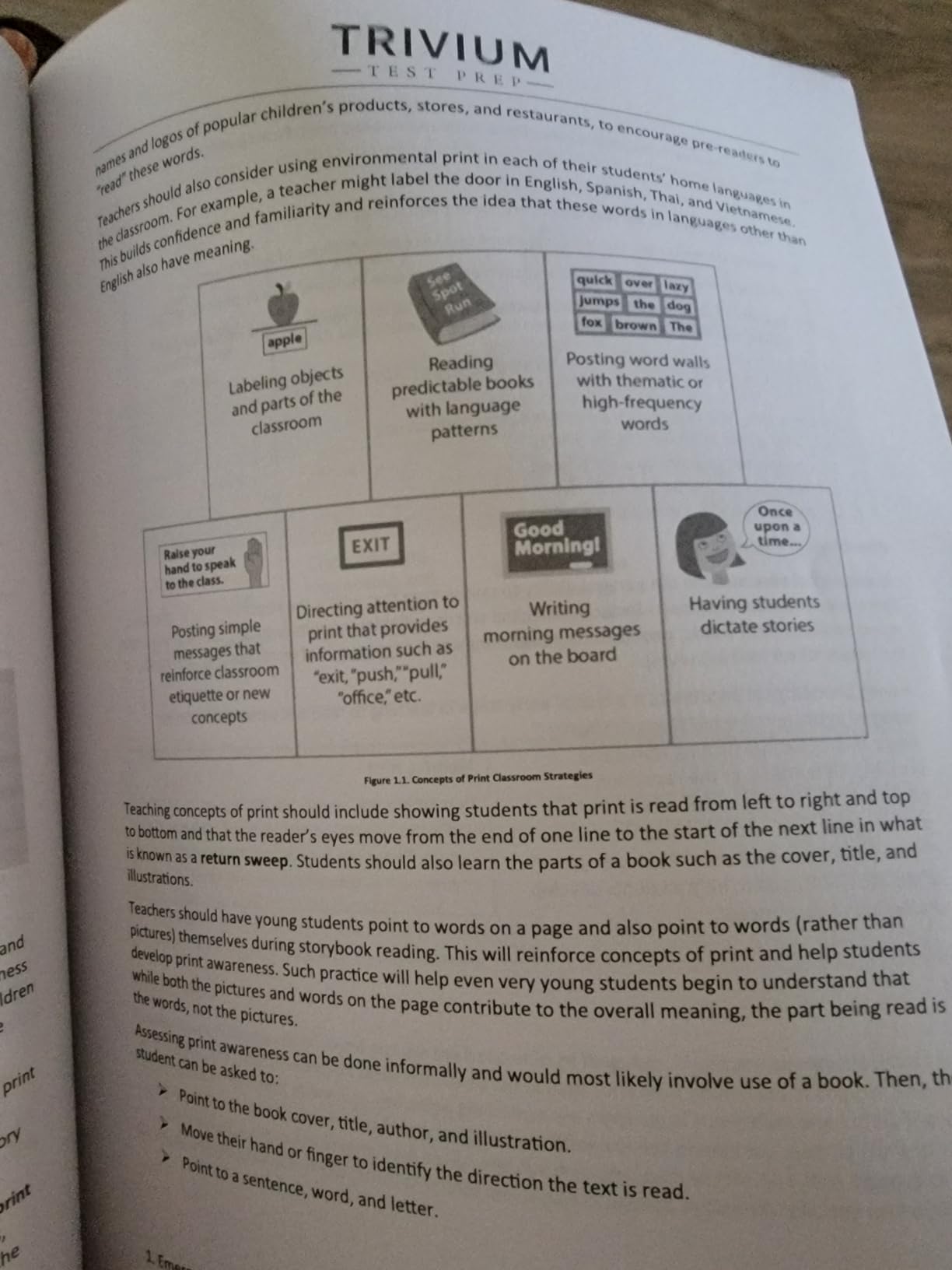 Amazon.com: Praxis Teaching Reading Elementary 5205 Study Guide: 2 ...