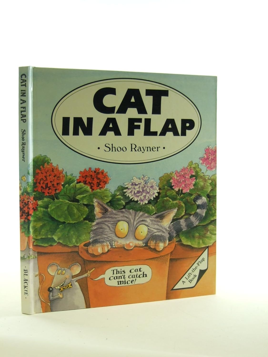 Cat in a Flap: Amazon.co.uk: Shoo, Rayner: 9780216932081: Books