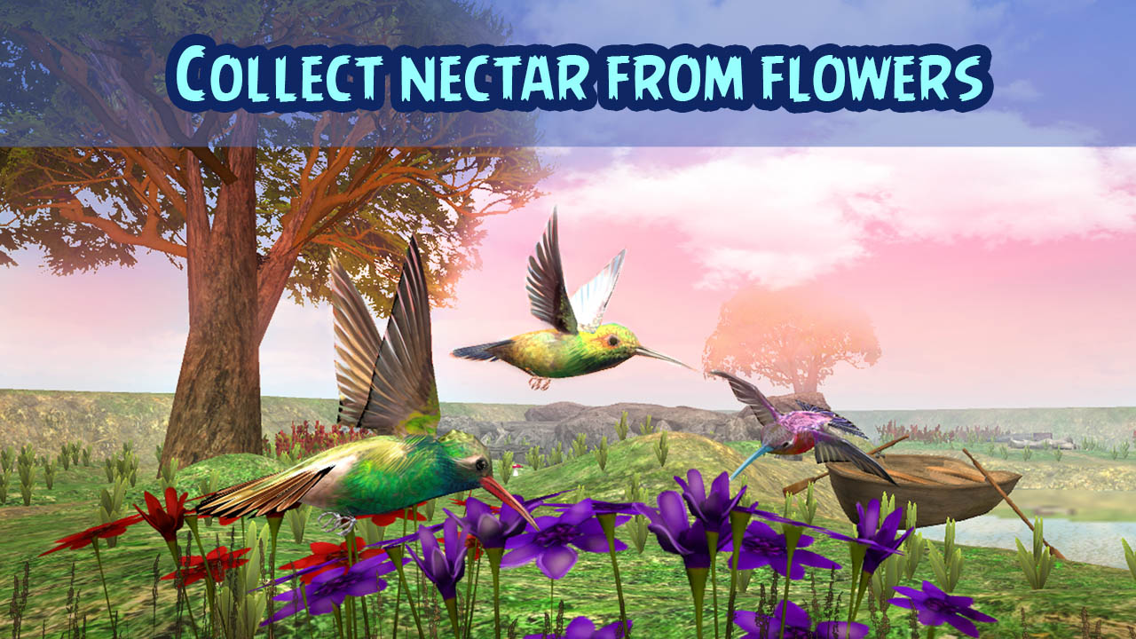 Hummingbird Simulator 3D: Animal Dash Little Bird Tales | Wild Flying ...