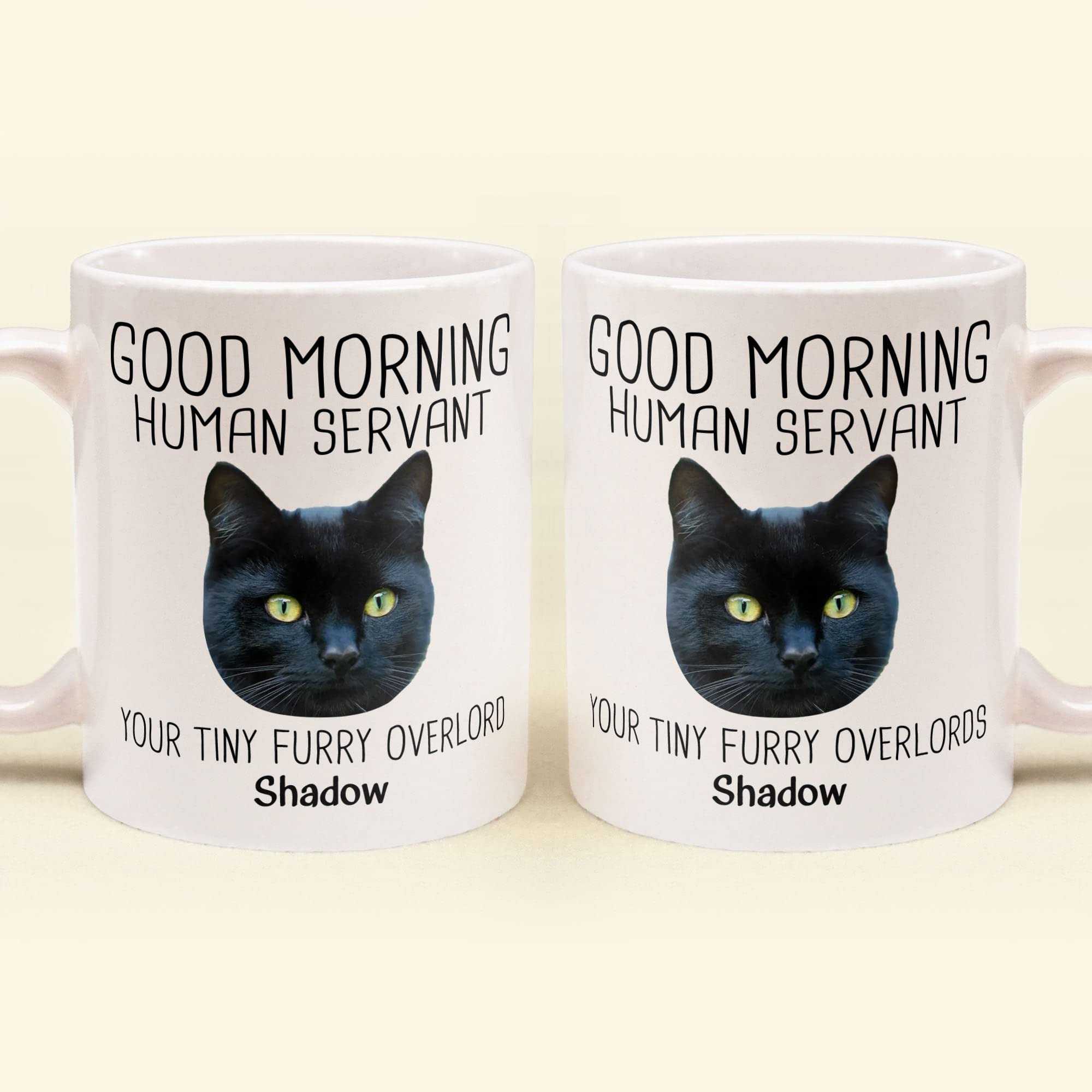 Good Morning Cat And Dog