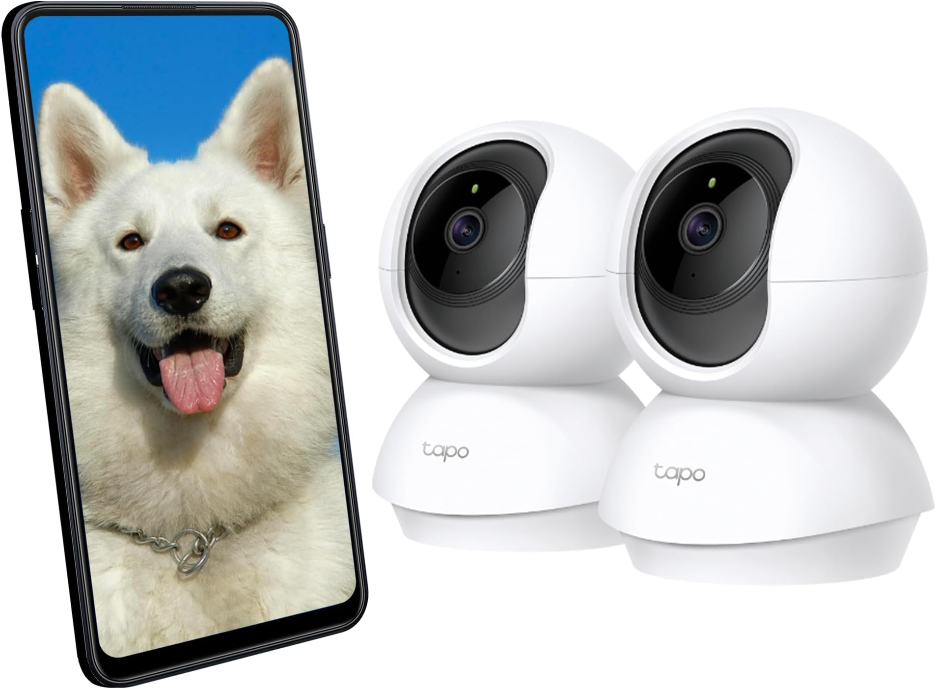 TP-Link Tapo Smart AI Outdoor Security Camera, Wired & Wireless, 3MP ...