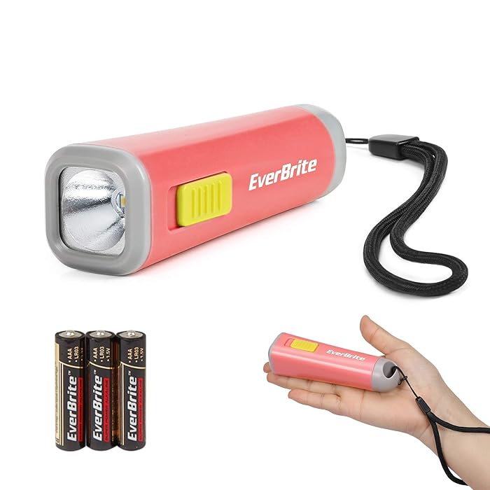 Buy EverBrite Mini LED Kids Flashlight (Red), Kids Torch Light Weight ...